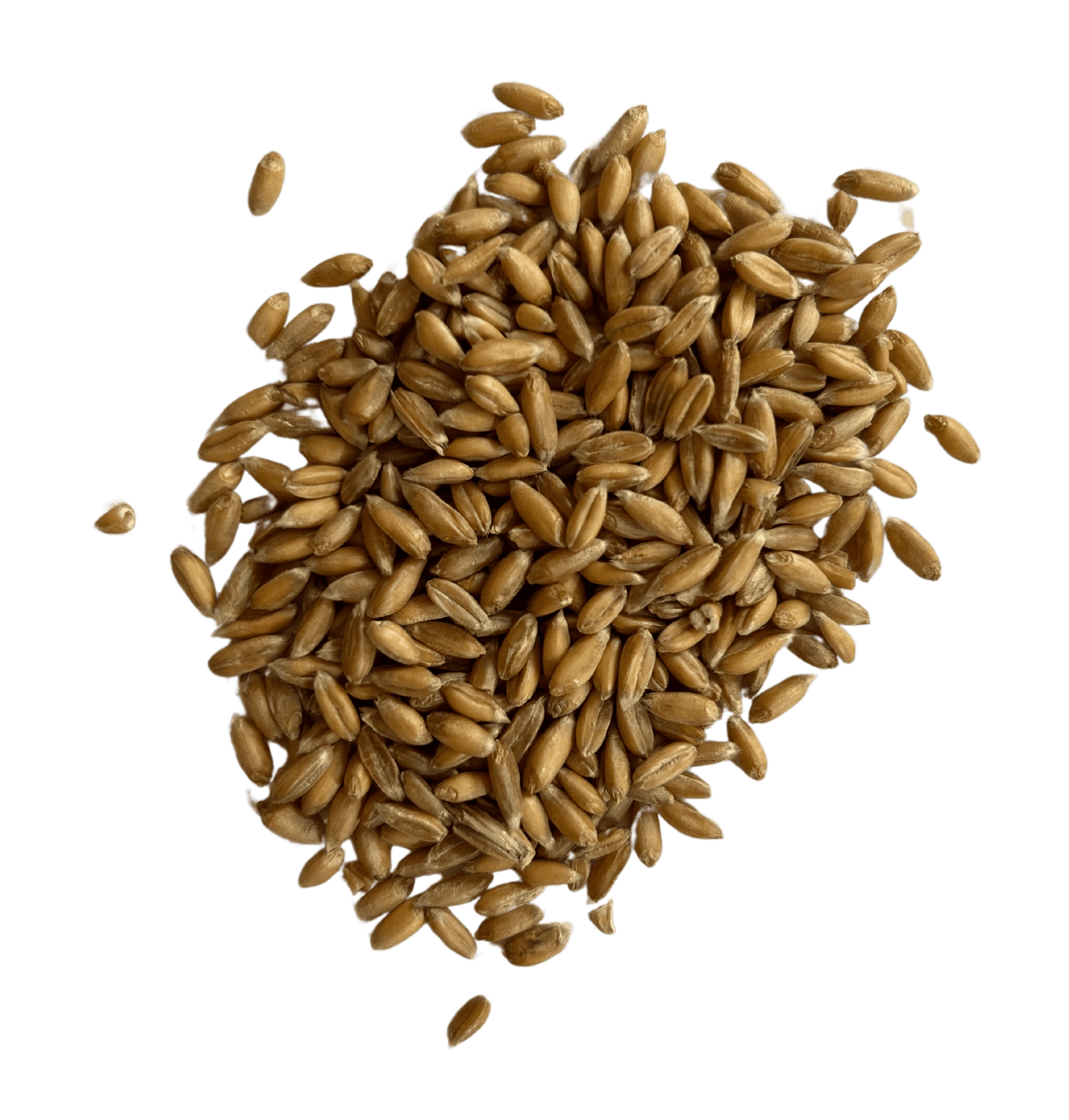 1847 Stone Milling | Certified Organic Non-GMO Flour | Canada ...